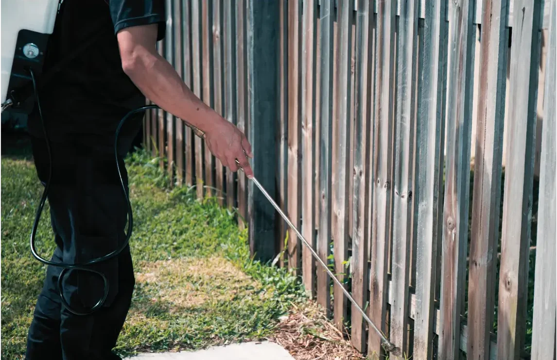 Home - Alpha & Omega Pest Control